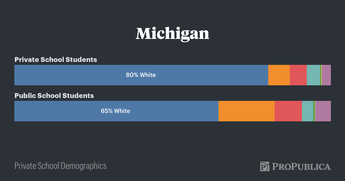 Private Schools in Michigan — Private School Demographics — ProPublica